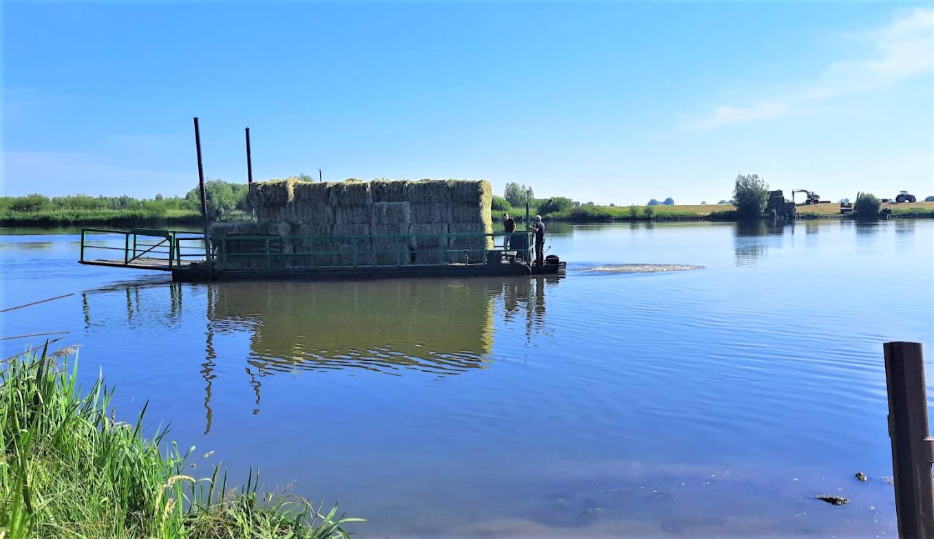 Boerderij Roetman - Samenlevinglandbouwnatuur