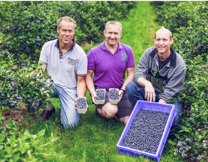 Akkerbouwbedrijf Bussemaker - Samenlevinglandbouwnatuur